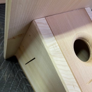 Petterson Style Blue Bird Boxes (4 Boxes), White Cedar - Etsy