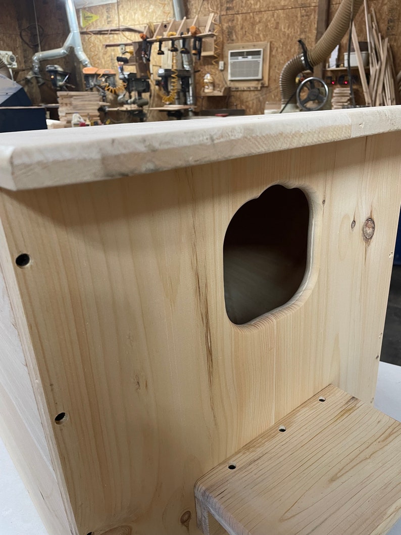 Barn Owl Nesting Box Kit - Etsy