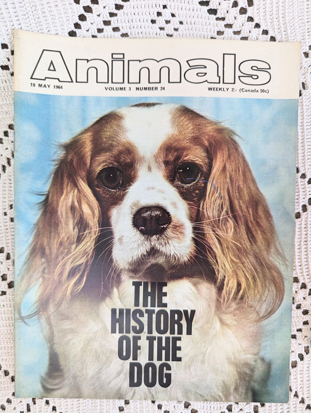 Set of X22 1960s 'animal' Magazines, Vintage Nature Magazines, Animal ...