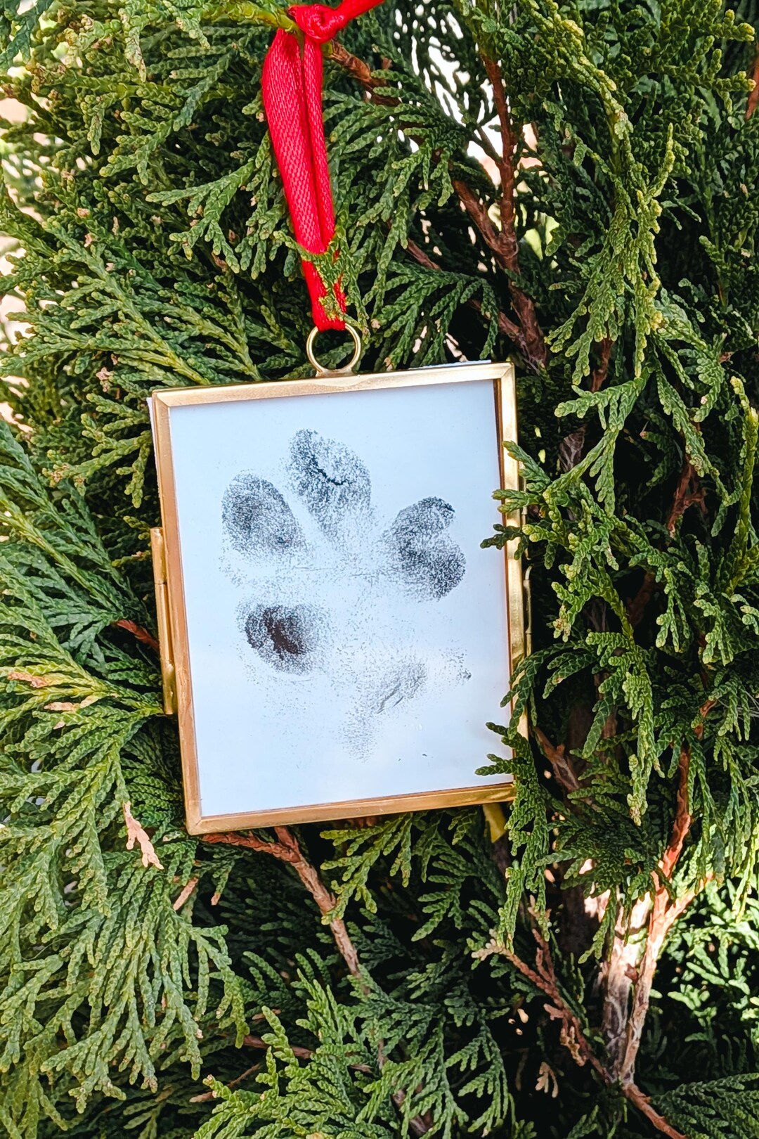 Paw Print Inkless Stamp Pad & Glass Ornament Kit With 2 Cardstock ...
