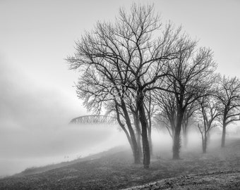 Ohio River Front, River Walk, Jeffersonville Indiana, Big Four Bridge ...