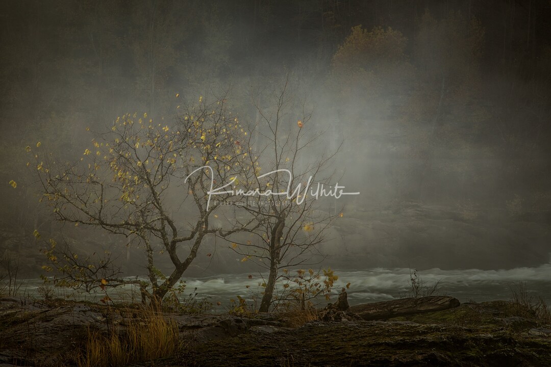 Waterfalls Wall Art, Waterfalls Photography, Waterfalls Photo, West ...