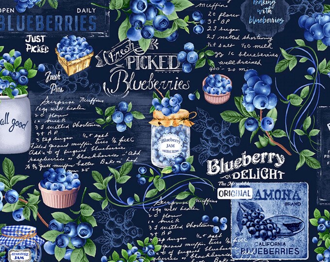 Blueberry Magnets - Etsy