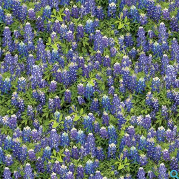 Bluebonnet Fabric - Etsy