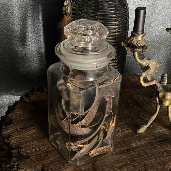 Old Candy Jars - Etsy