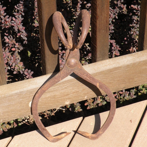 Antique Ice Tongs - Etsy