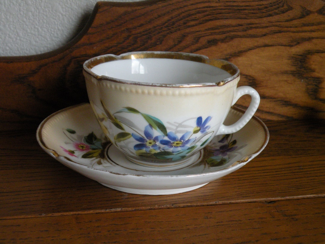 Antique Carl Tielsch Germany Teacup and Saucer, Floral Pattern 4295 - Etsy