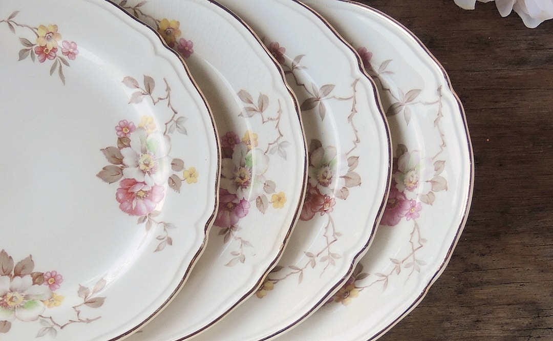 Edwin Knowles Salad Plates Set of 4 Semi Vitreous Dessert Plates ...