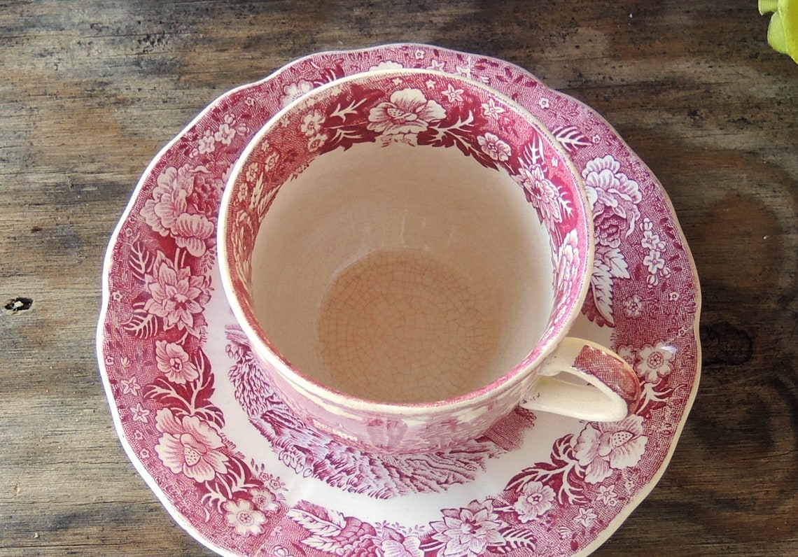 Palissy Red Transferware Tea Cup Set Mismatched Tea Cup & Saucer Set ...