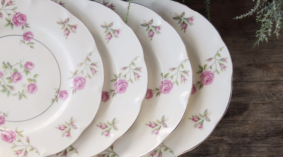 Theodore Haviland Delaware Dinner Plates Set of 4 Bridal Shower Plates ...