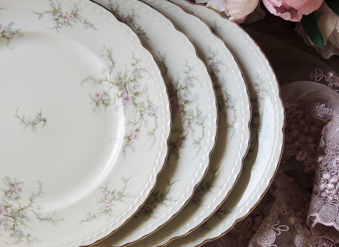 Vogue Susanna Salad Plates Set of 4, Cottage Style, French Country, Tea ...
