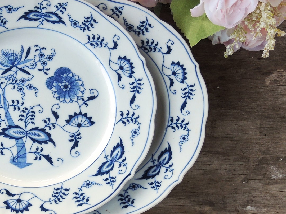Blue Danube Dinner Plates Set of 2 Blue & White China Plates ...
