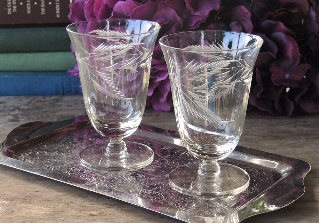 Fostoria Etched Rose Crystal Cordial Glasses Set of 2 - Etsy