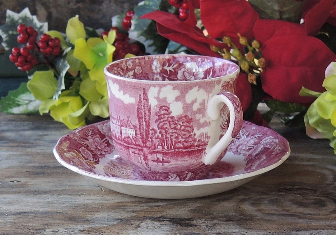 Palissy Red Transferware Tea Cup Set Mismatched Tea Cup & Saucer Set ...