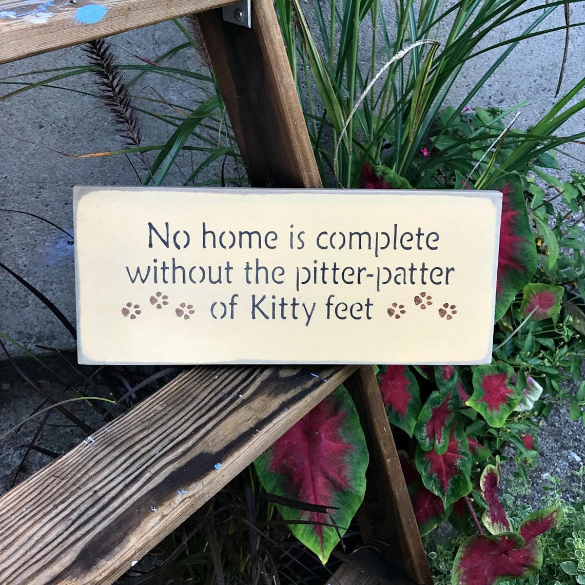 Wooden Cat Sign Gift for the Cat Lover Kitty Signs Cat - Etsy