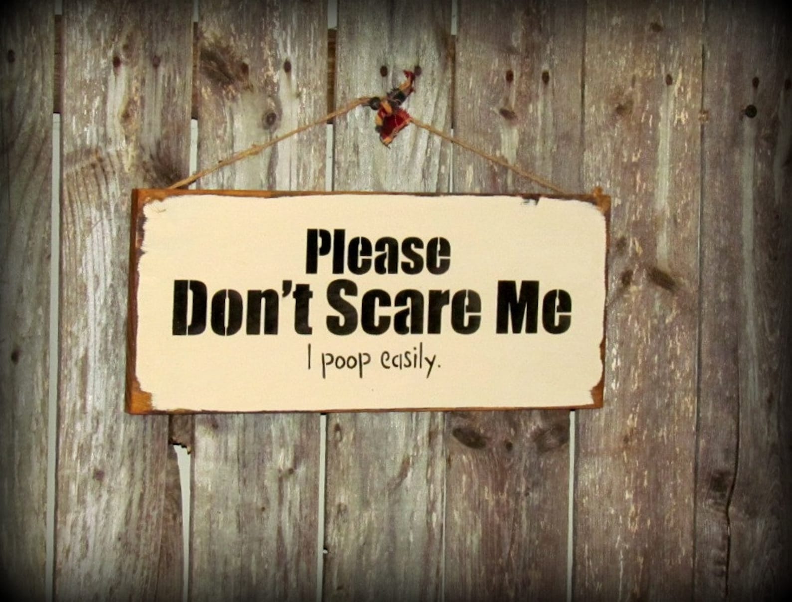 Funny Wooden Sign Please Don't Scare Me...I poop easily | Etsy