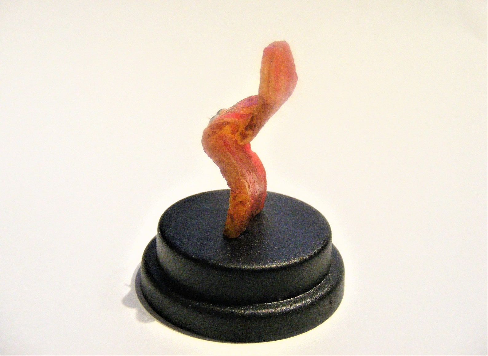 Bacon Pet © Bacon Lover Bacon Gift Carnivore Gift Dashboard | Etsy