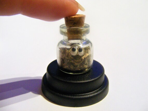 Fake Cannabis Jar Pet © Fake Marijuana Weed Stash Stoner - Etsy