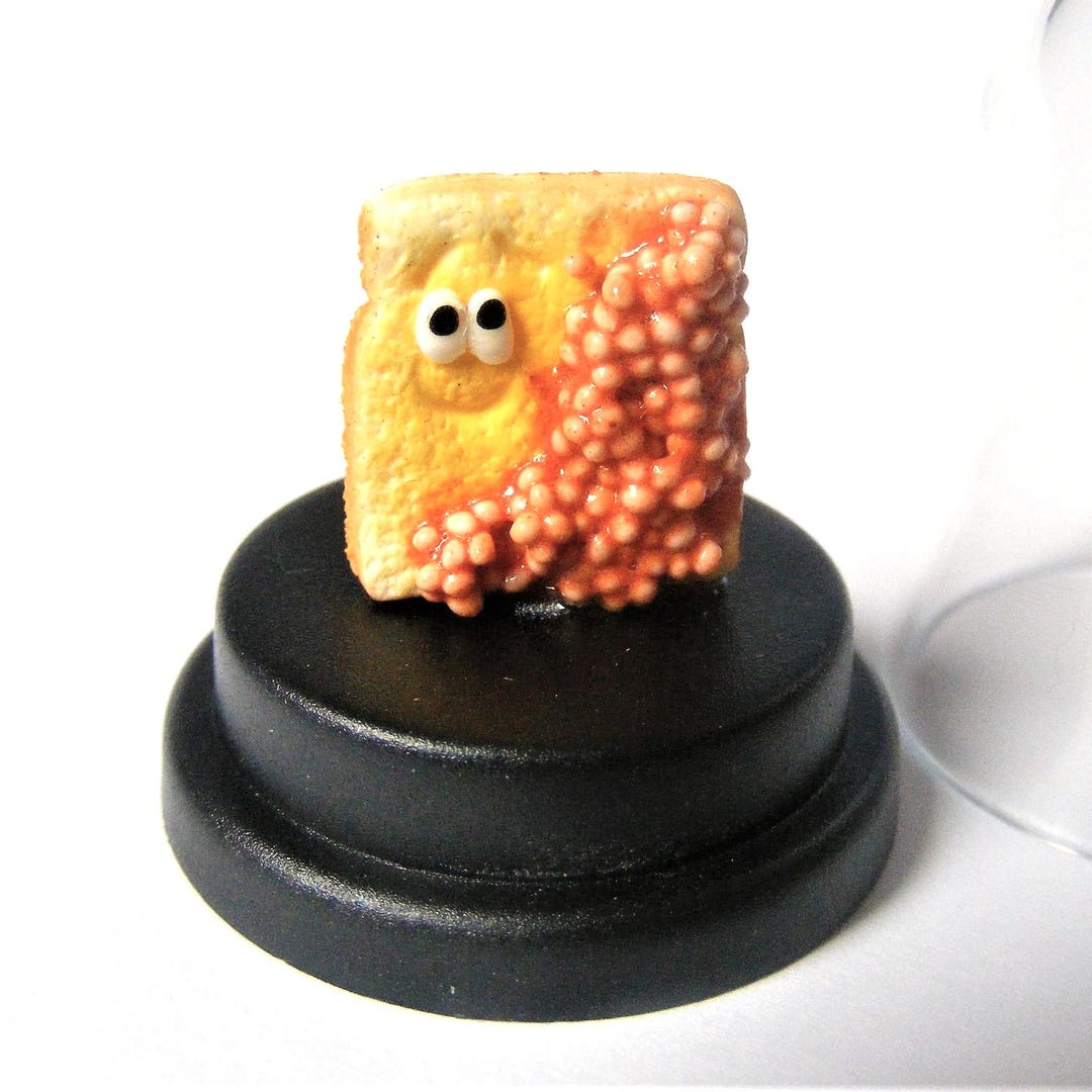 Beans on Toast Pet © Baked Beans Gift, Toast Gift, Beans Lover, Tin of ...