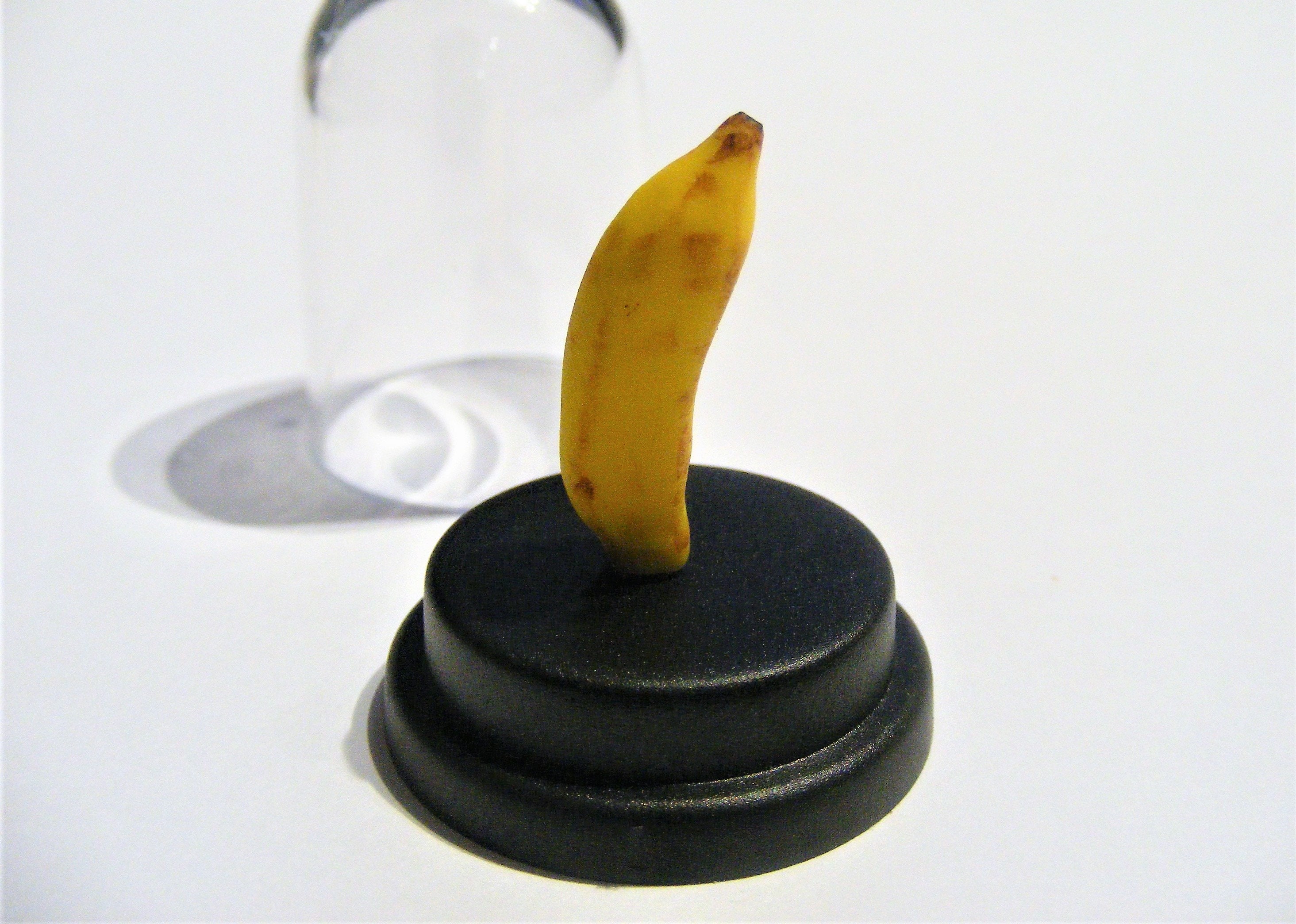 Banana Pet © Banana Gift Fruit Gift Vegetarian Gift Vegan - Etsy UK