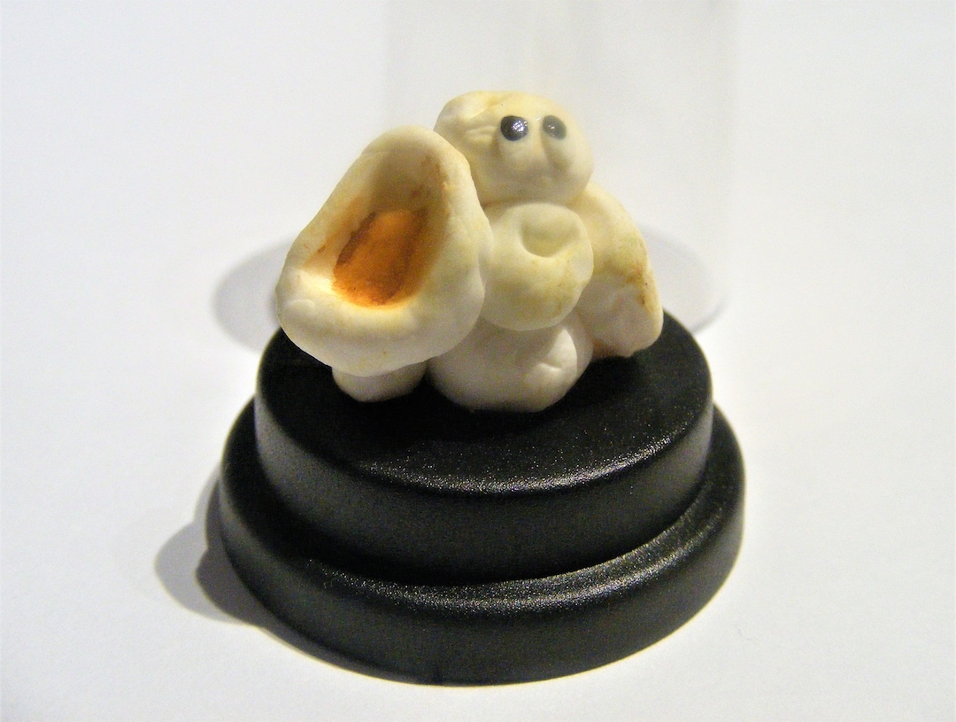 Popcorn Pet © Pet Pop Corn, Fast Food Lover, Film Buff, Movie, Bff Gift ...