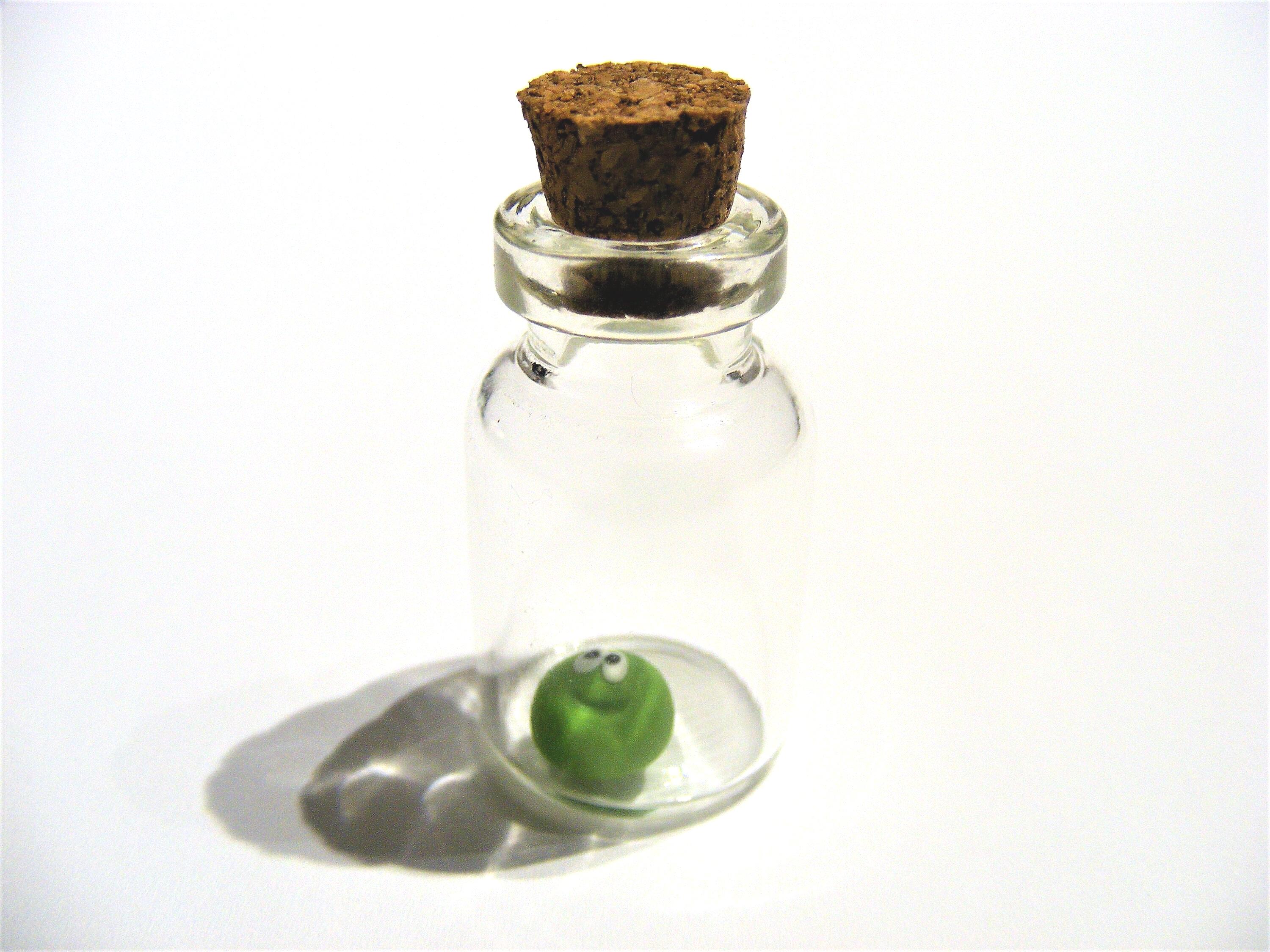 Pea Pet © Best Friend Gift, Birthday Gift, Gift for Him, Gift for Her ...