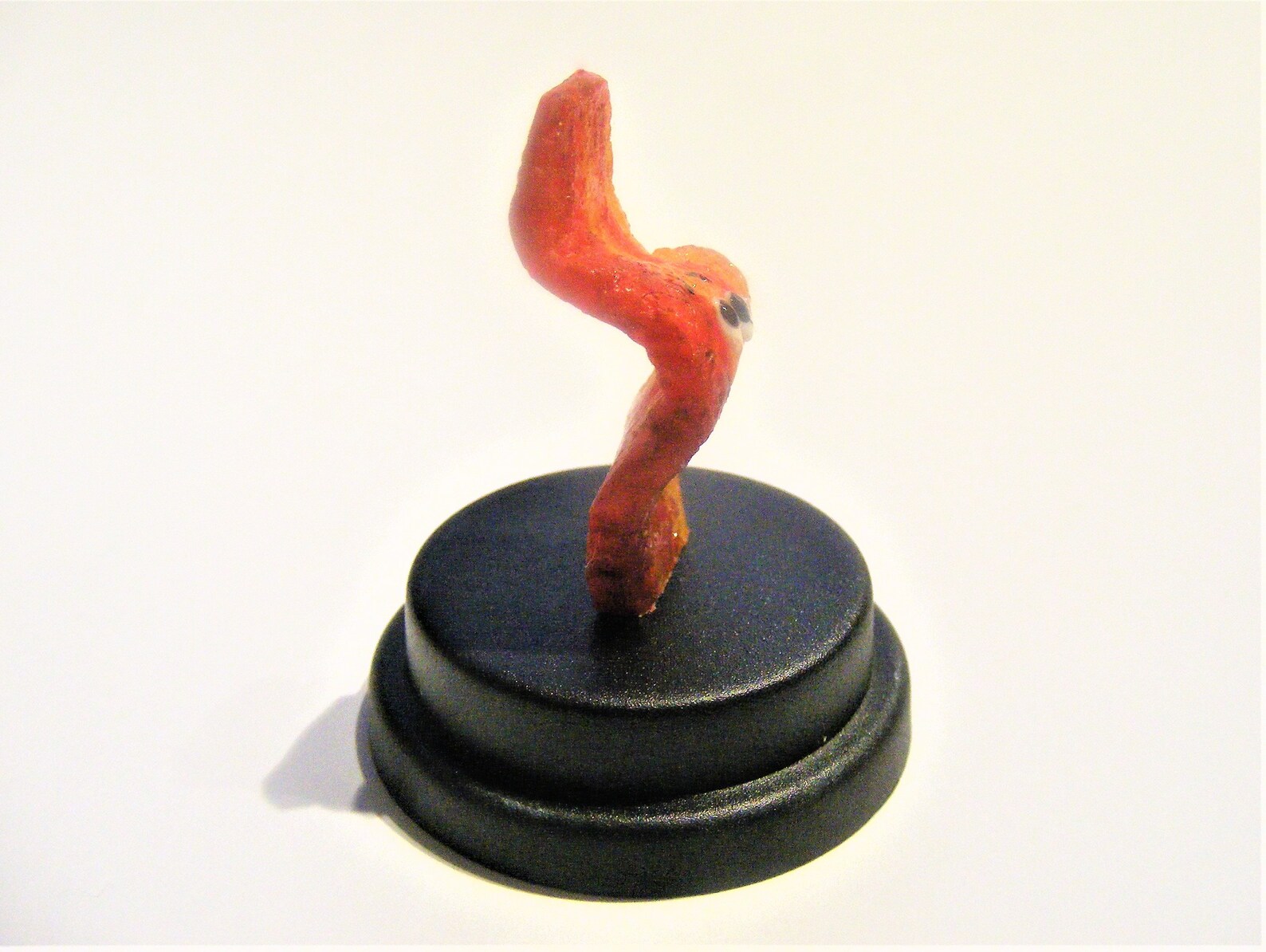 Bacon Pet © Bacon Lover, Bacon Gift Carnivore Gift Gift for Him Gift ...