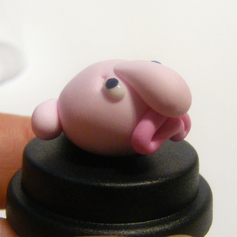 Blobfish Pet © Blob Fish Pet, Ugliest Fish, Gift for Him, Gift for Her ...
