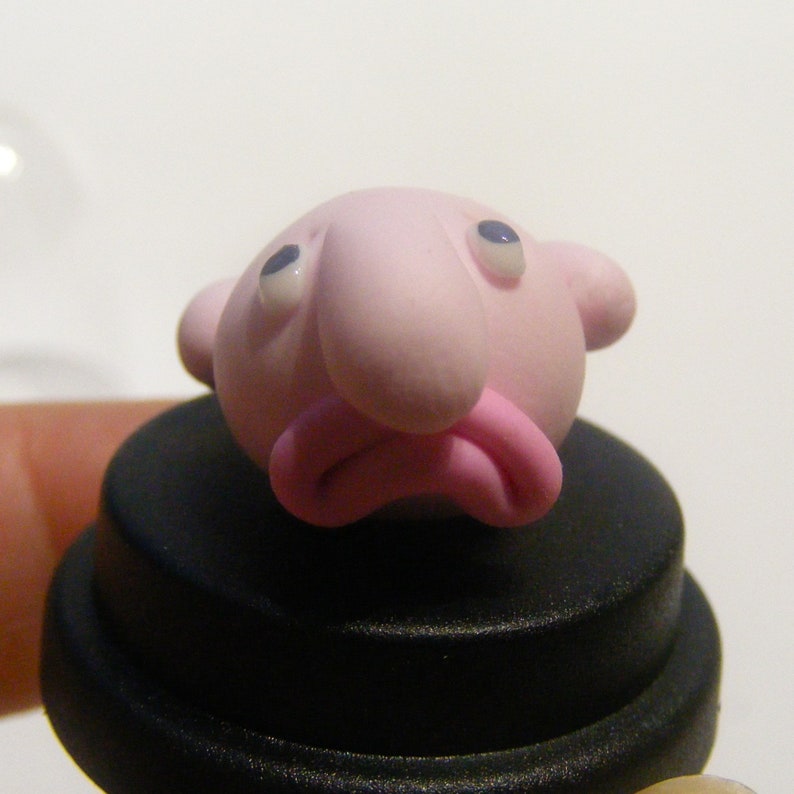 Blobfish Pet © Blob Fish Pet, Ugliest Fish, Gift for Him, Gift for Her ...