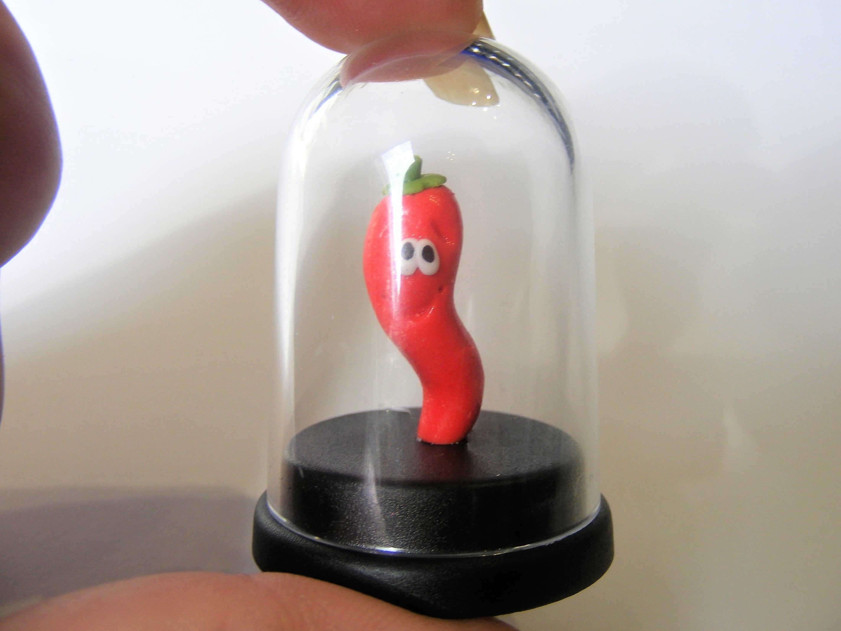 Chili Pet © Chilli Pepper, Red Pepper Pet Veg Lover Gift for Gardener ...