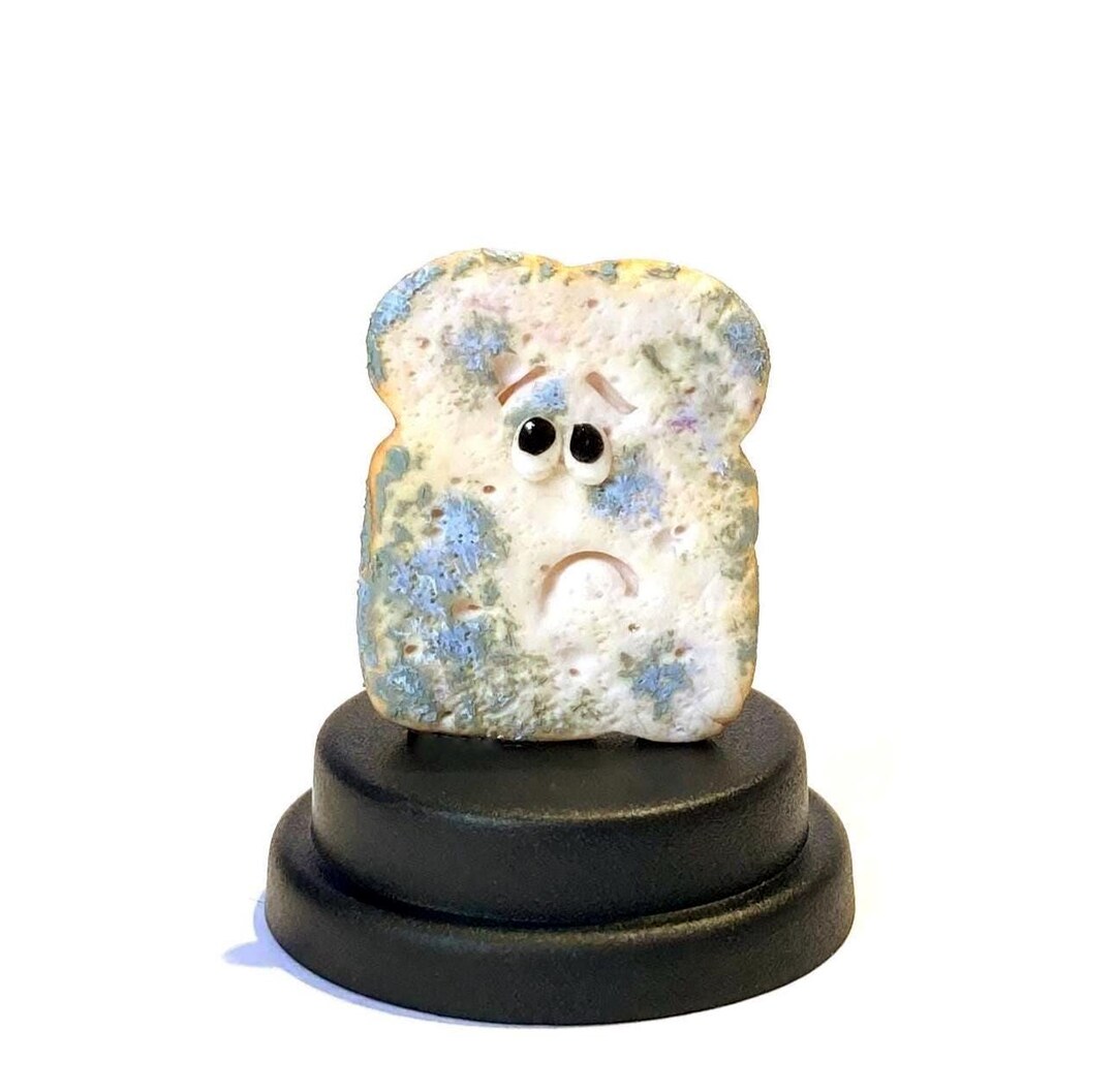 Mouldy Bread Pet © Moldy Bread, Bad Bread, Bread Mould, Bread Mold ...