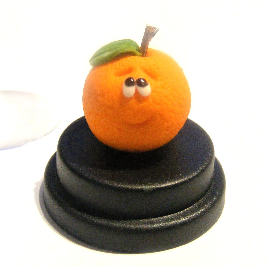 Orange Pet © Tangerine Gift Clementine Vegetarian Gift Novelty Gift ...