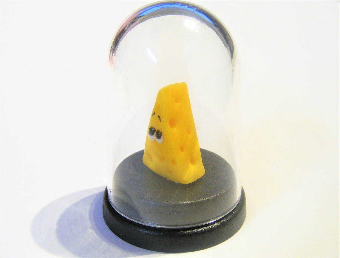 Cheese Pet © Cheese Gift Cheese Lover Gift Cheese Slice - Etsy