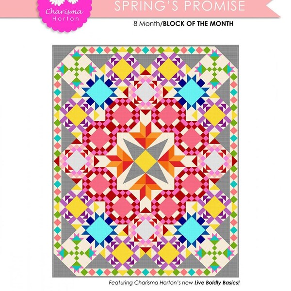 Block of the Month Quilt Pattern - Etsy
