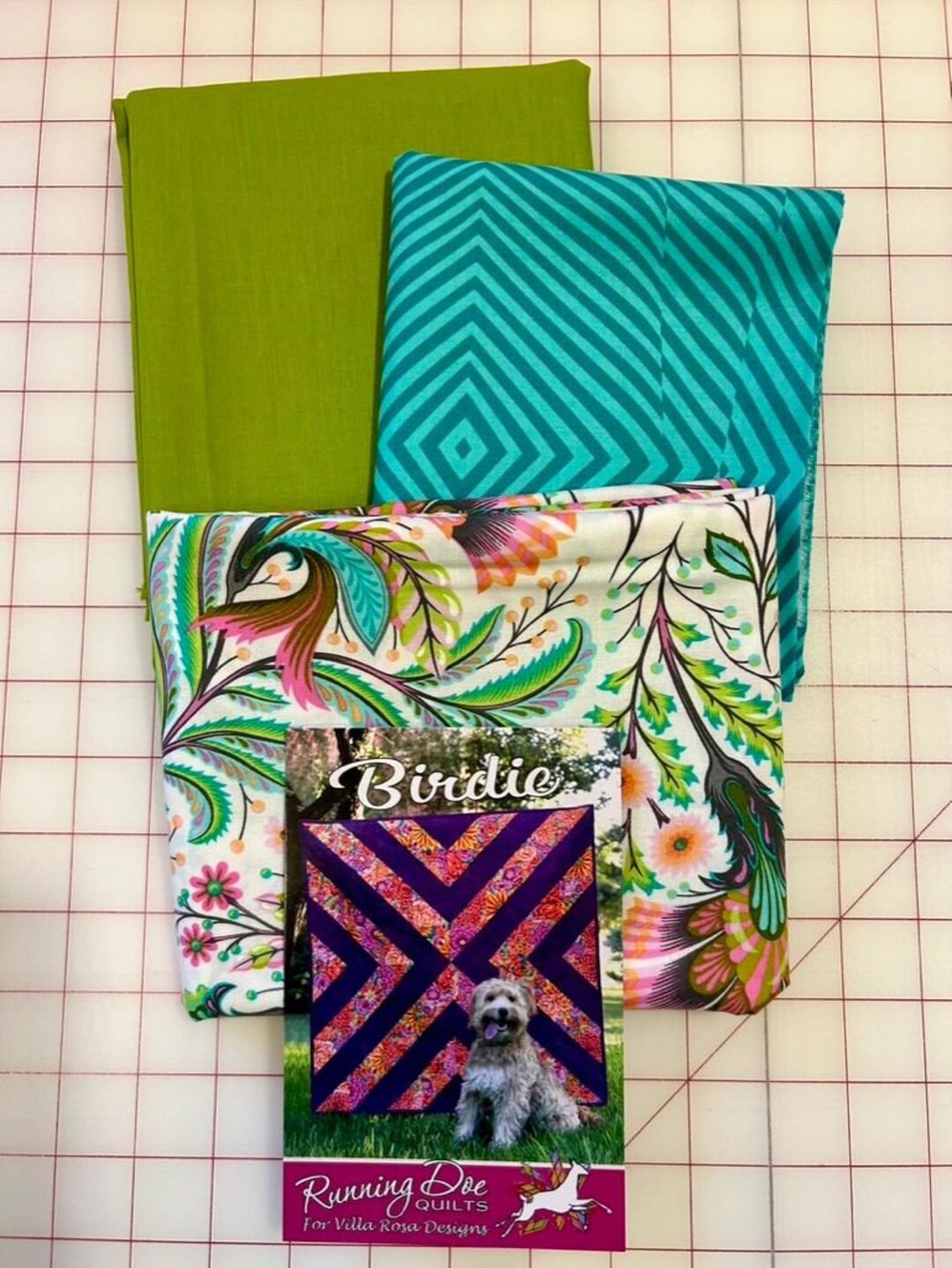 Tula Pink Quilt Kit Featuring ROAR! Fabric and the Birdie Pattern ...
