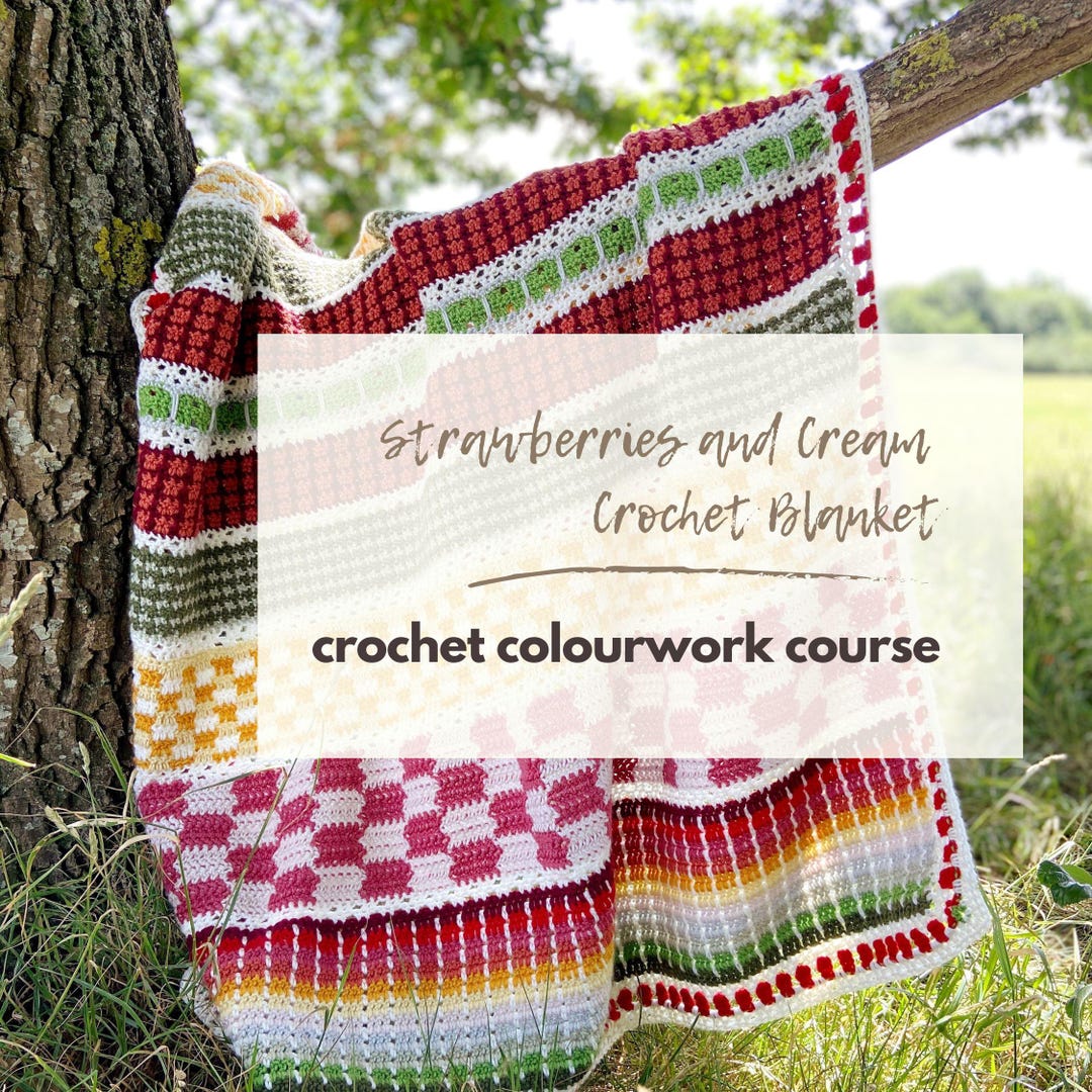 Crochet Blanket Making Course! Online Course With Video Instruction and ...