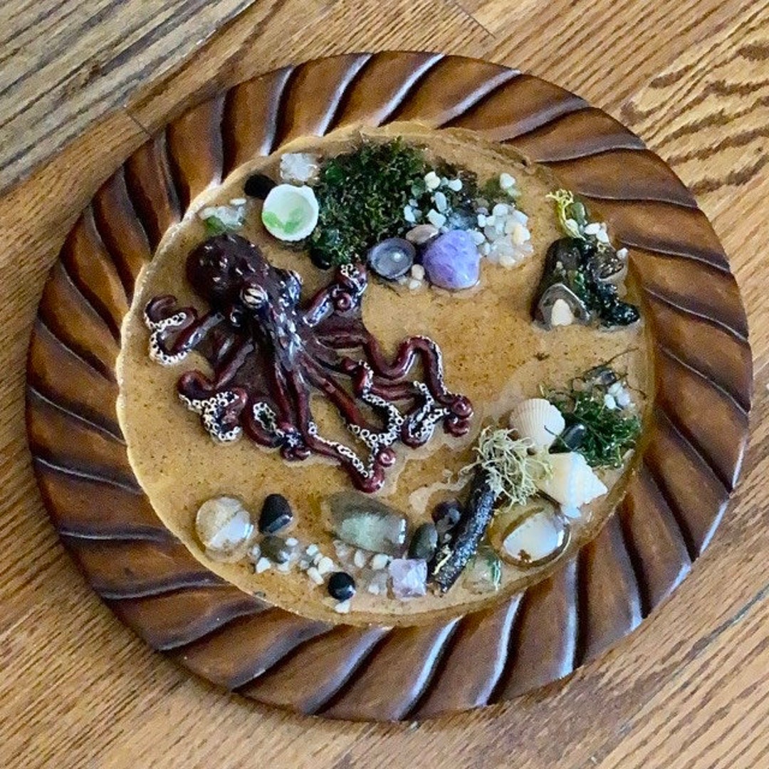 Mermaidcore, Tide Pool Art, Octopus, Ocean Home Decor, Handmade Home ...