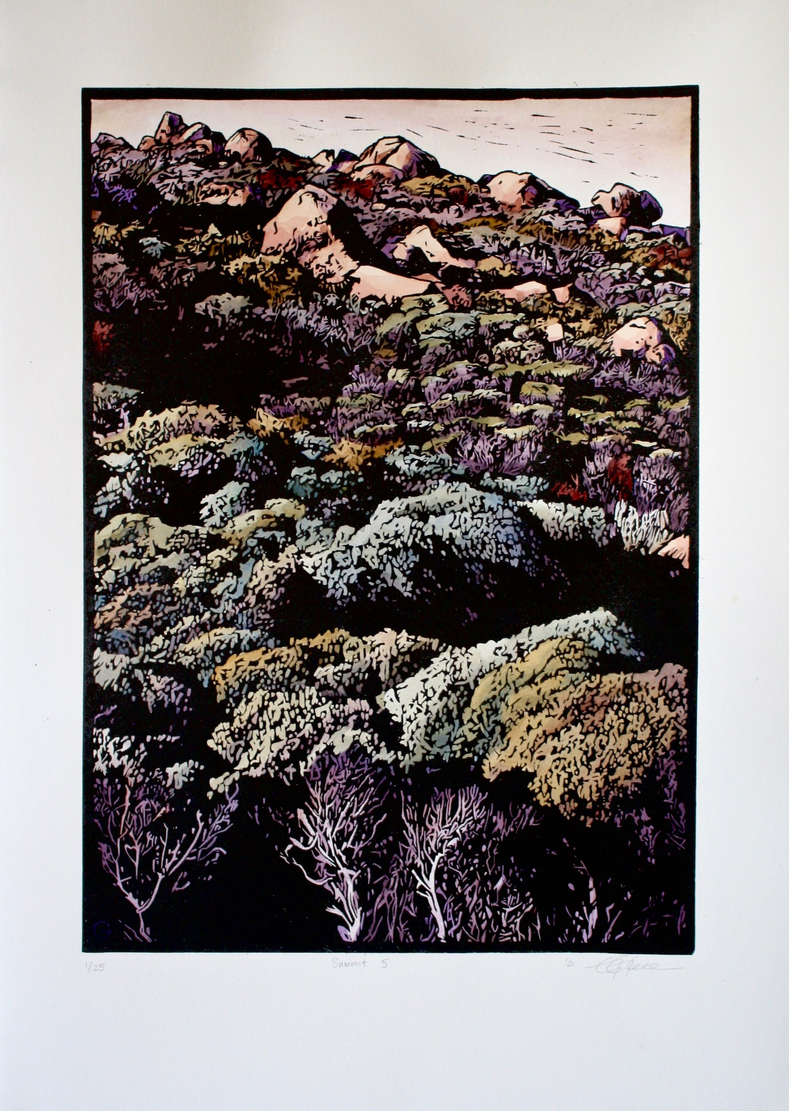 Large Linocut Print Mountain Landscape Tasmania Mount - Etsy Australia