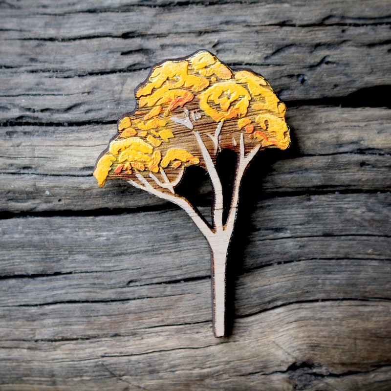 Wattle Brooch - Etsy Australia