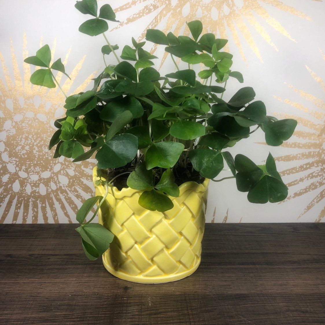 Yellow Lattice Pottery Planter, Vintage Yellow Basket Weave Cache Pot ...
