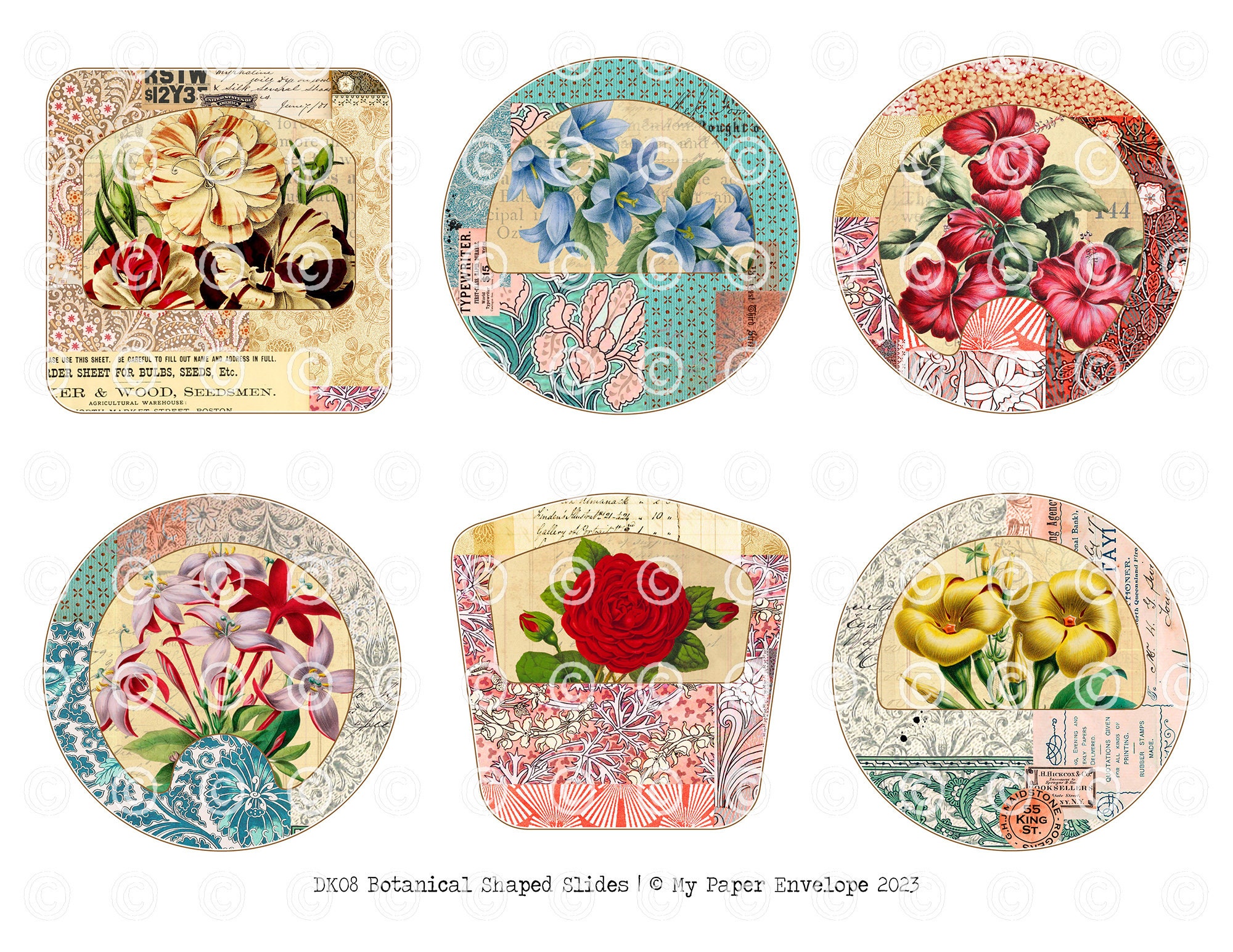 DK08 Botanical Shaped Slides - Etsy