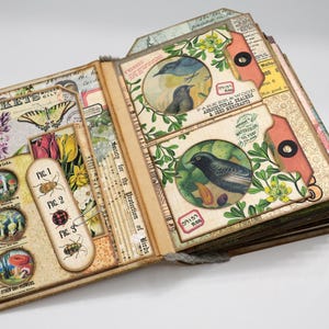 DK23 Natural History Mini Book - Etsy