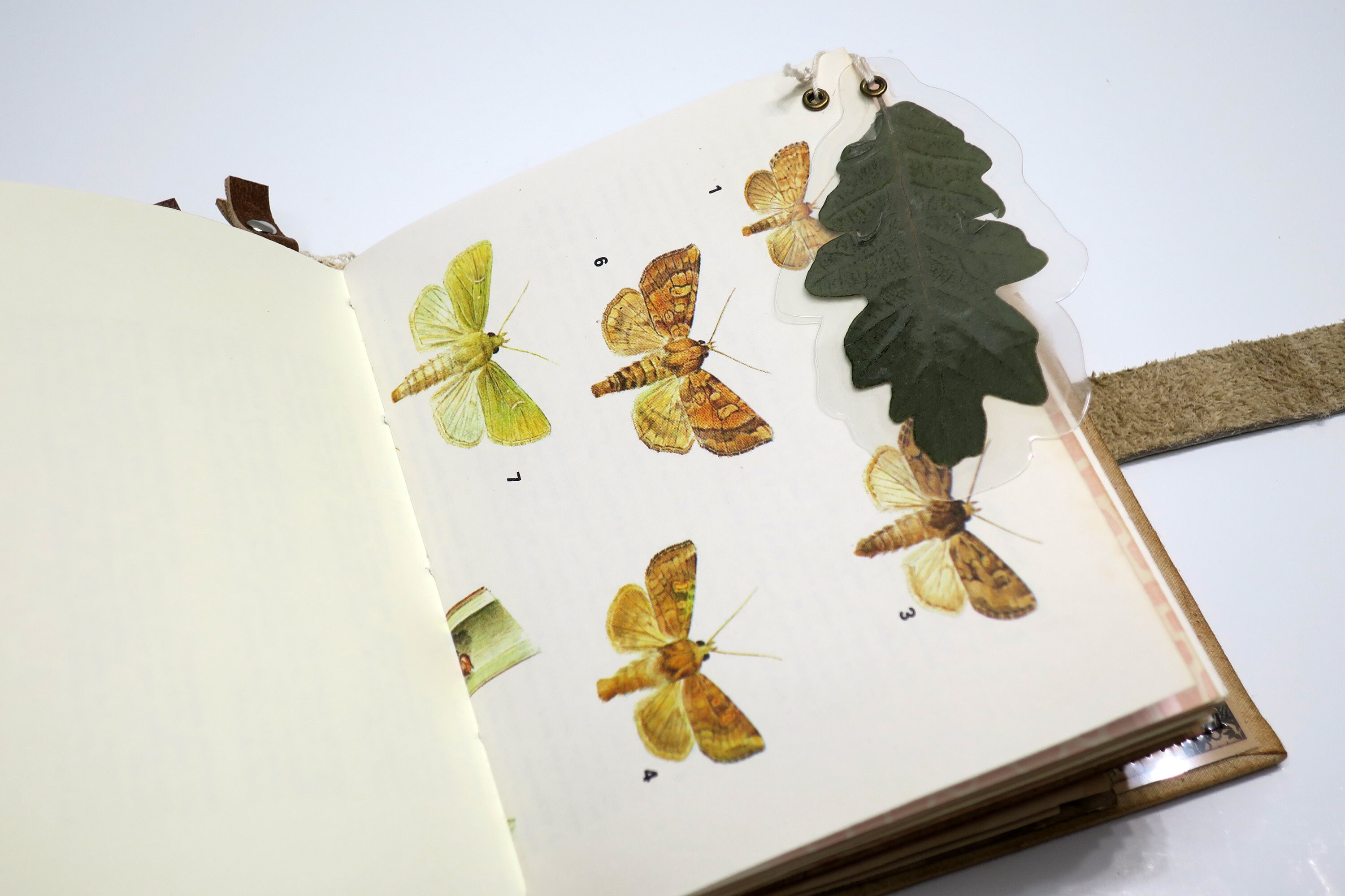 Nature Themed Journal No.4 - Etsy