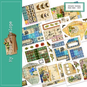 DK23 Natural History Mini Book - Etsy