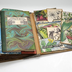 DK23 Natural History Mini Book - Etsy