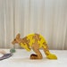 Charming Kangaroo Wooden Puzzle - Interactive Aussie Animal Game ...
