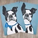 Handsome James-boston Terrier Portrait/ Fine Art Print - Etsy