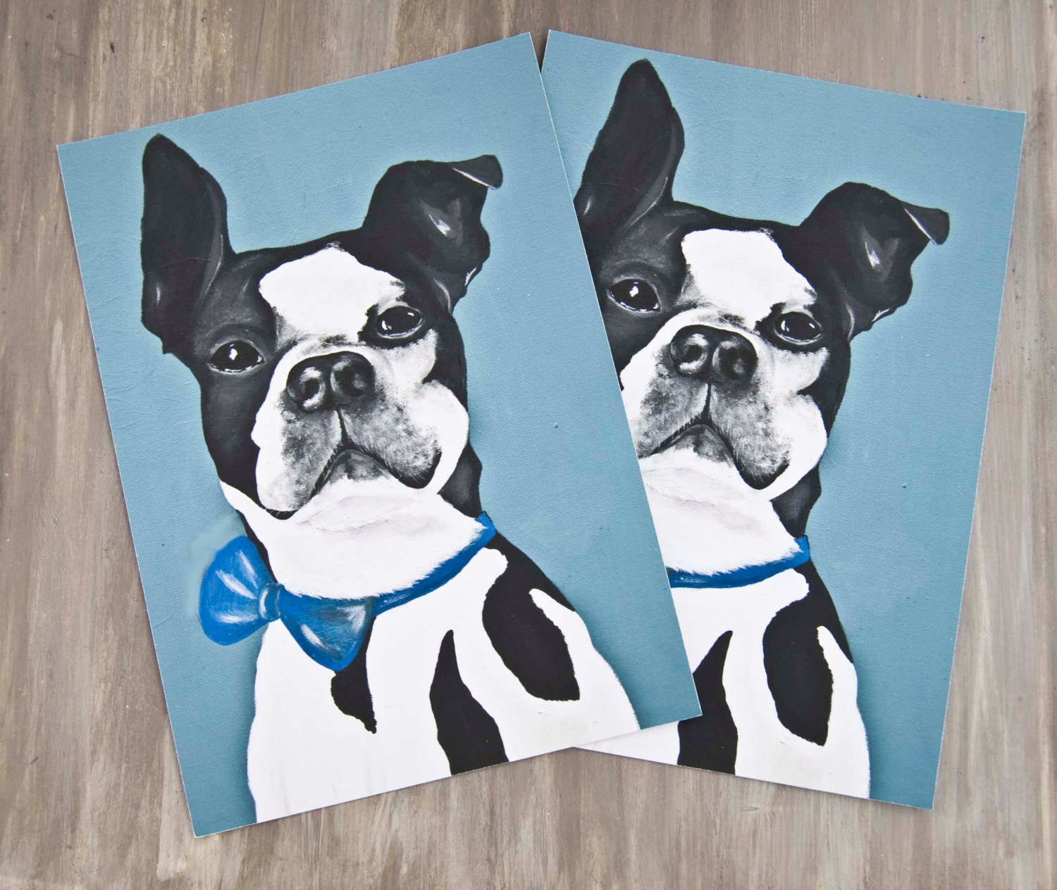 Handsome James-boston Terrier Portrait/ Fine Art Print - Etsy