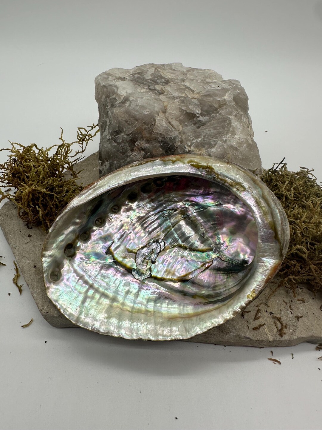 Abalone Shell - Medium Perfect for Smudging and Sage Burning or for ...