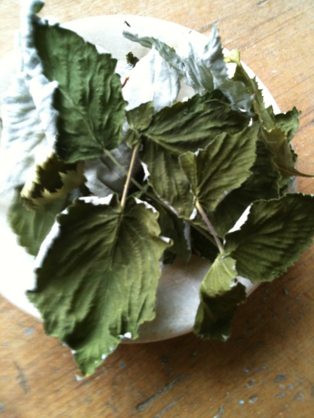 RASPBERRY LEAVES Dried Organic, for Protection, Love, Good Luck and ...